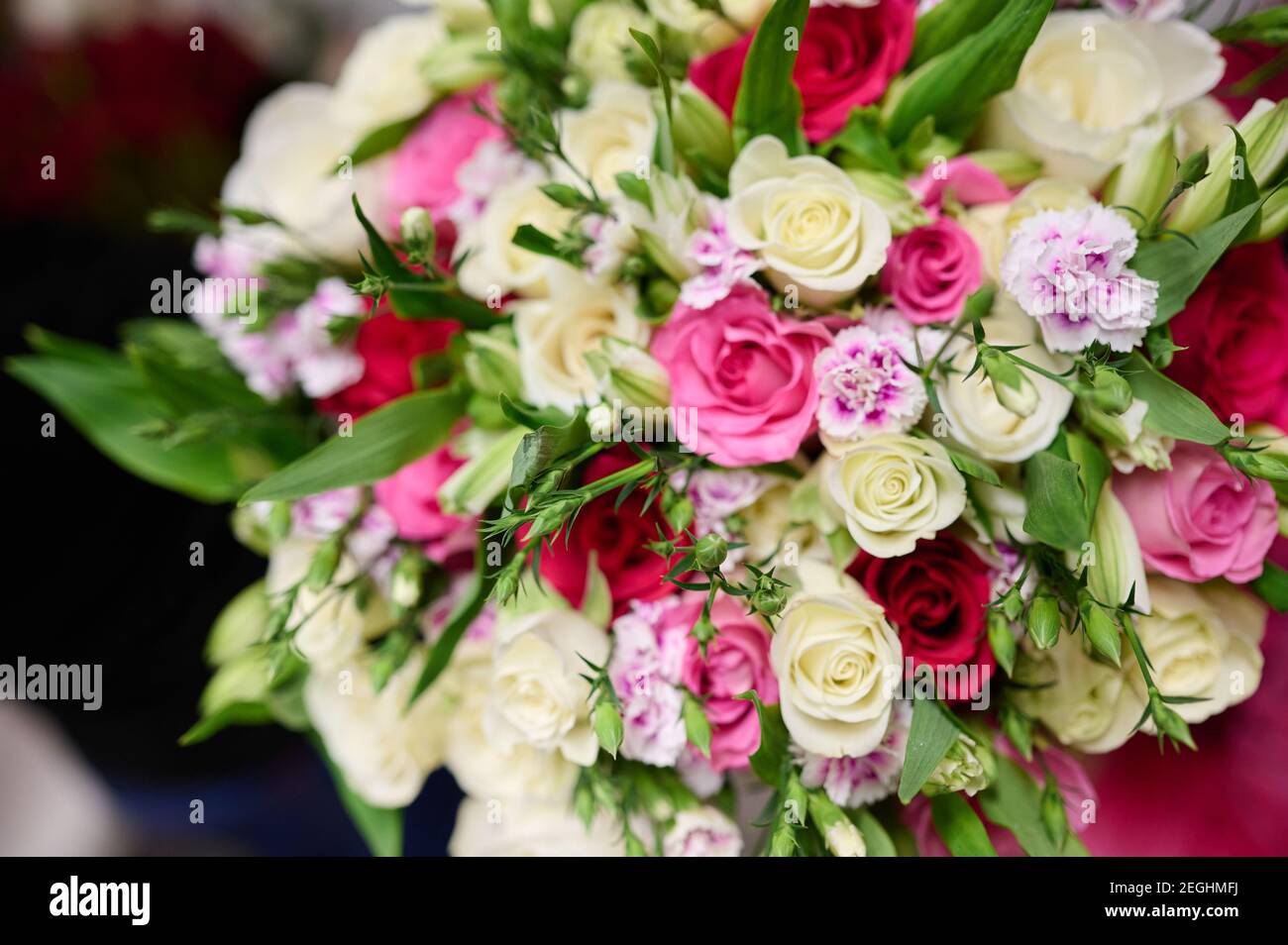 Rote alstromerien -Fotos und -Bildmaterial in hoher Auflösung – Alamy