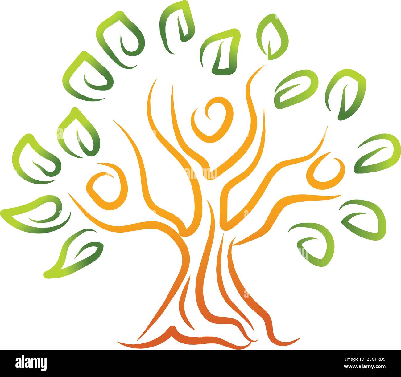 Stammbaum Clipart Bilder Isolierte Stammbaum Auf Weißem Hintergrund.