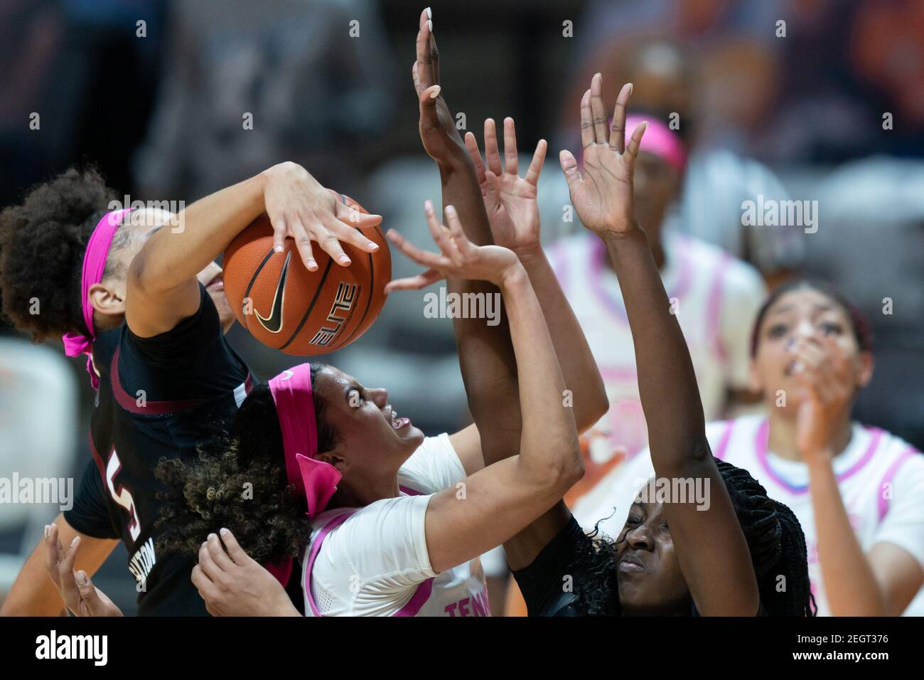 18. Februar 2021: Victaria Saxton #5 der South Carolina Gamecocks ...