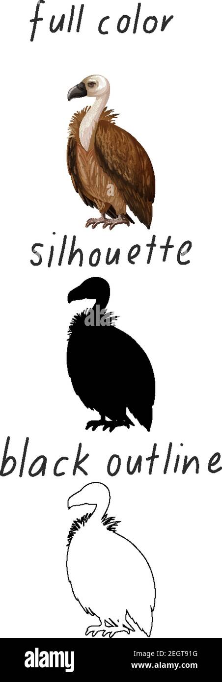 Set von Geier in Farbe, Silhouette und schwarzen Umriss auf weißem ...