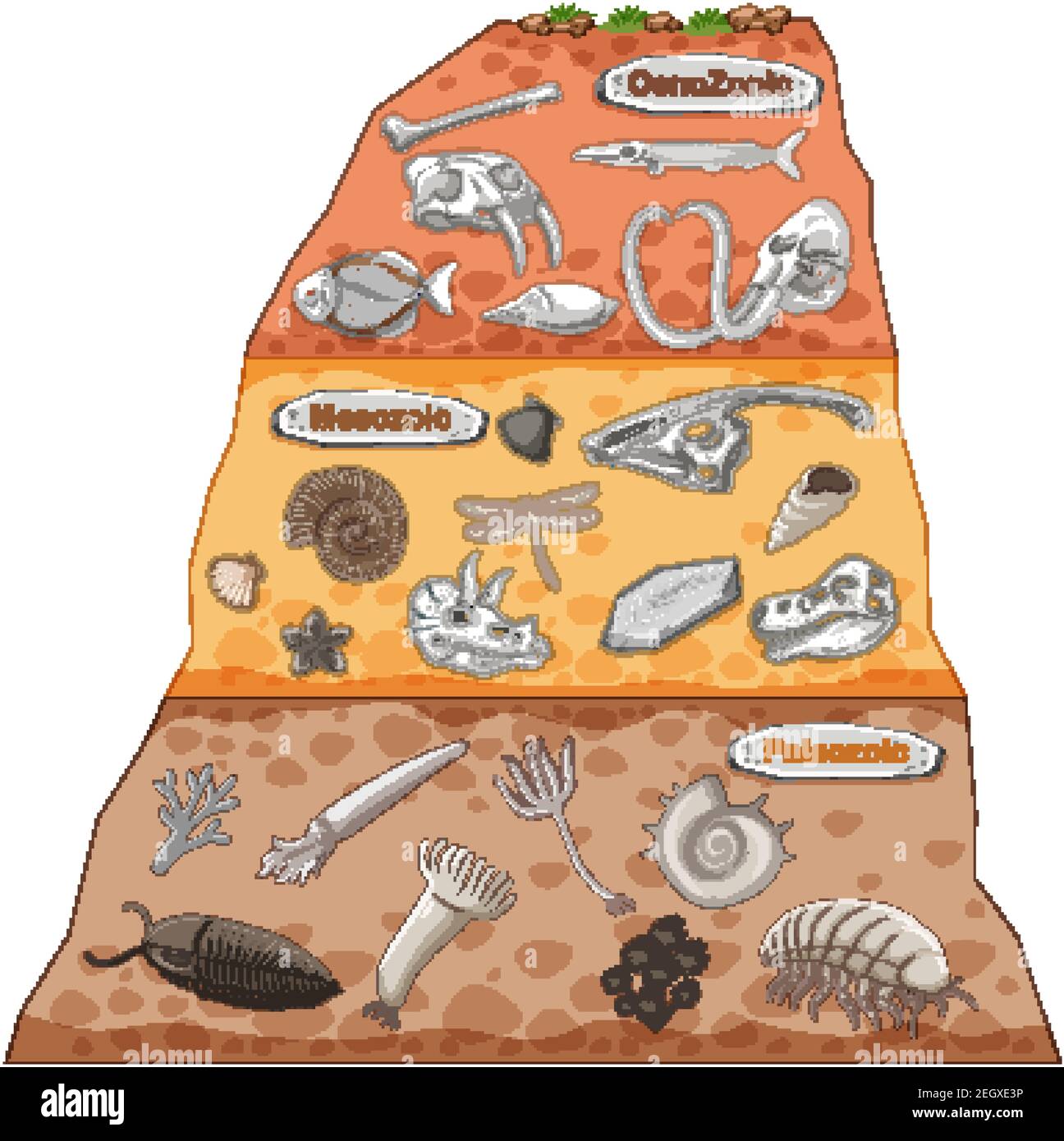 Drei verschiedene Epochen der Erdgeschichte Illustration Stock ...