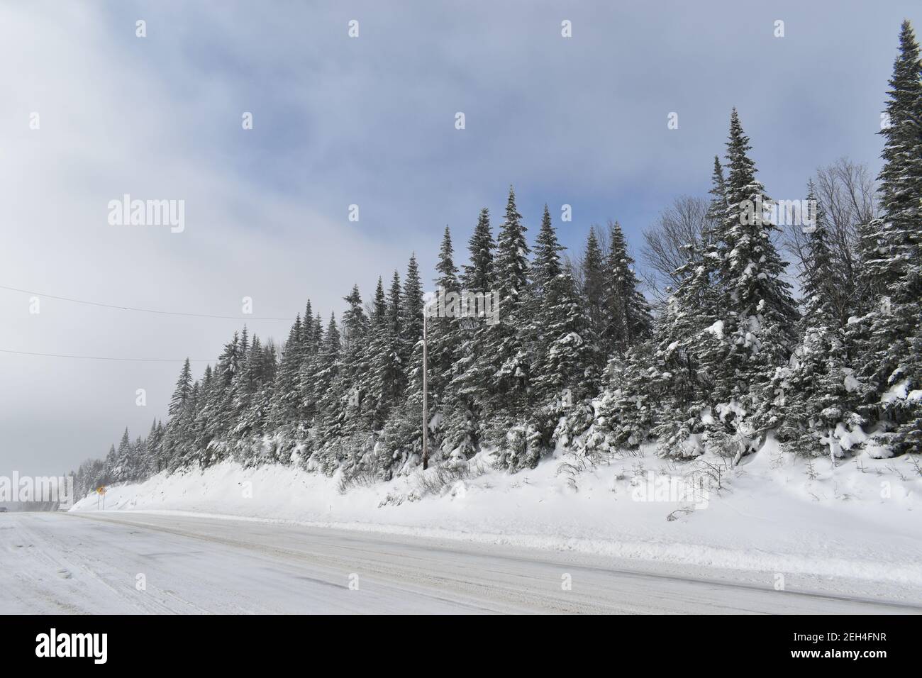 Route de la foret -Fotos und -Bildmaterial in hoher Auflösung – Alamy
