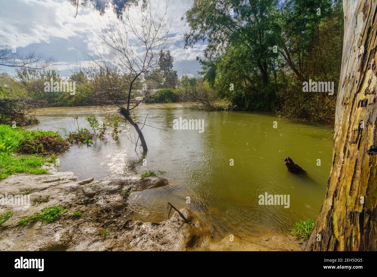Dan strom -Fotos und -Bildmaterial in hoher Auflösung – Alamy