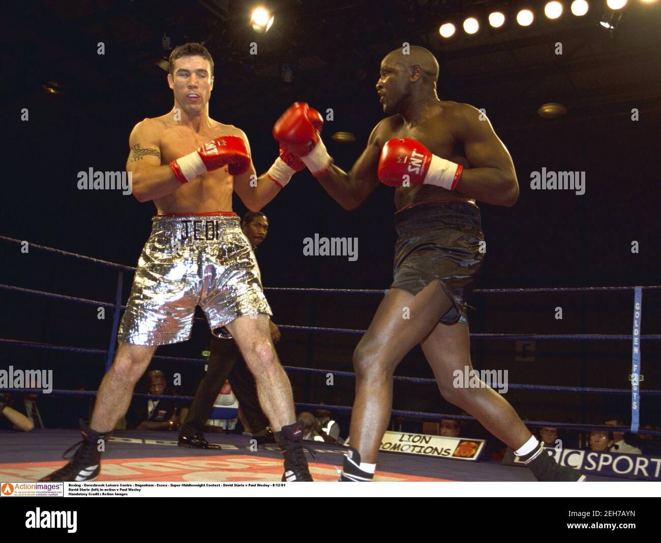 David starie -Fotos und -Bildmaterial in hoher Auflösung – Alamy