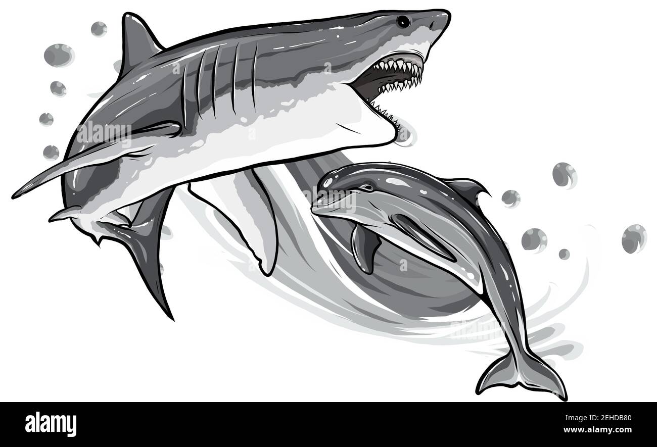 Lustige karikatur delfin Stock-Vektorgrafiken kaufen - Alamy