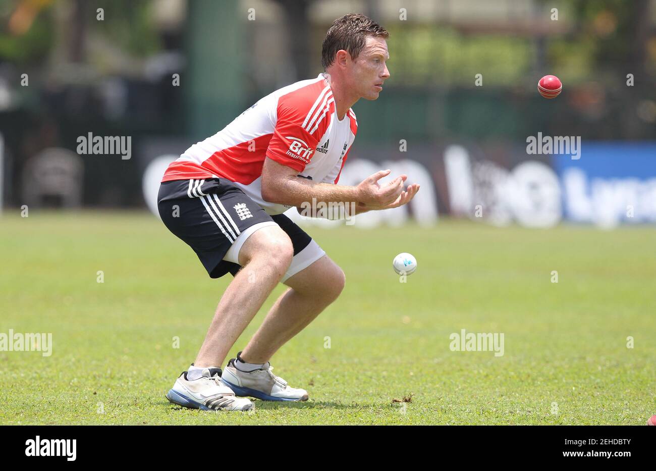P sara oval -Fotos und -Bildmaterial in hoher Auflösung – Alamy