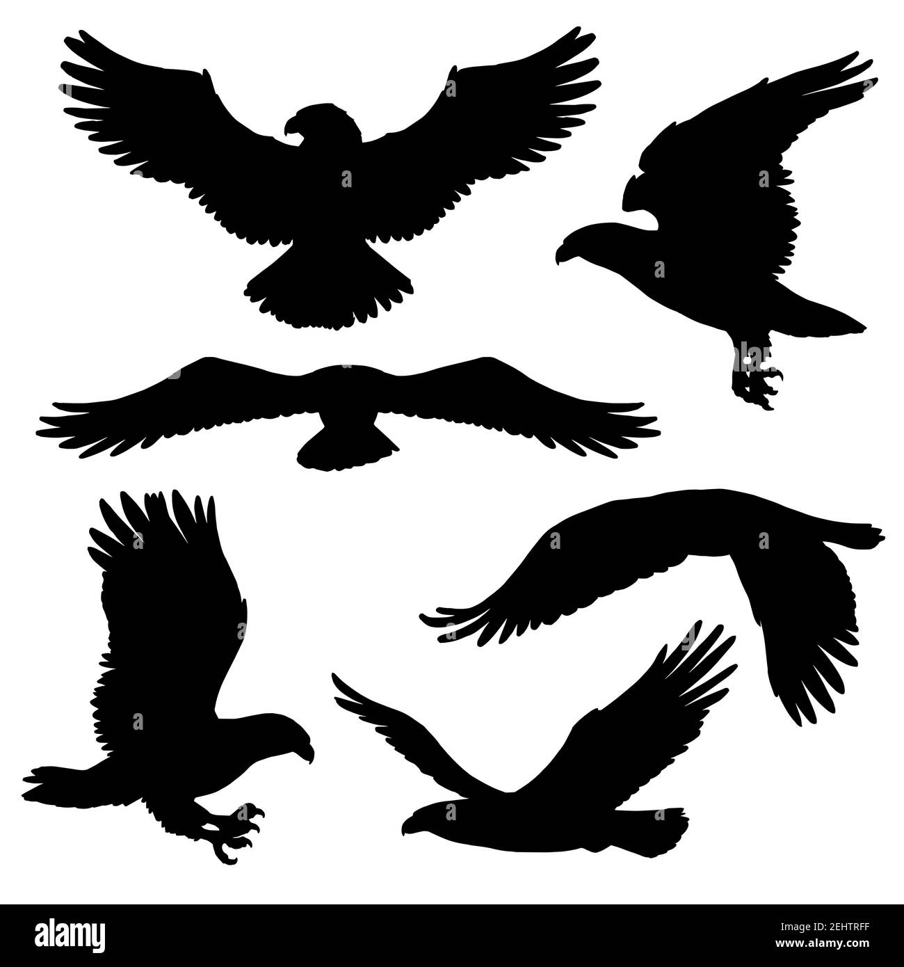 Fliegender Adler, Falke und Falke schwarze Silhouette Vogel-Ikonen ...