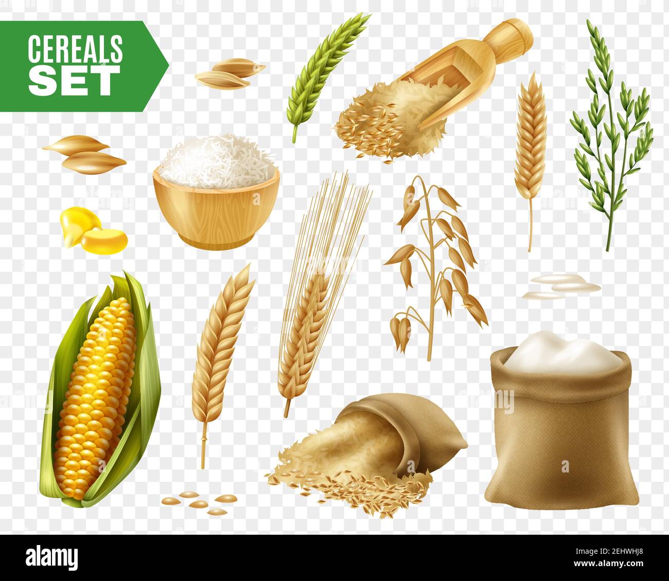 Farbige realistische und isolierte Getreide transparent Icon-Set mit ...