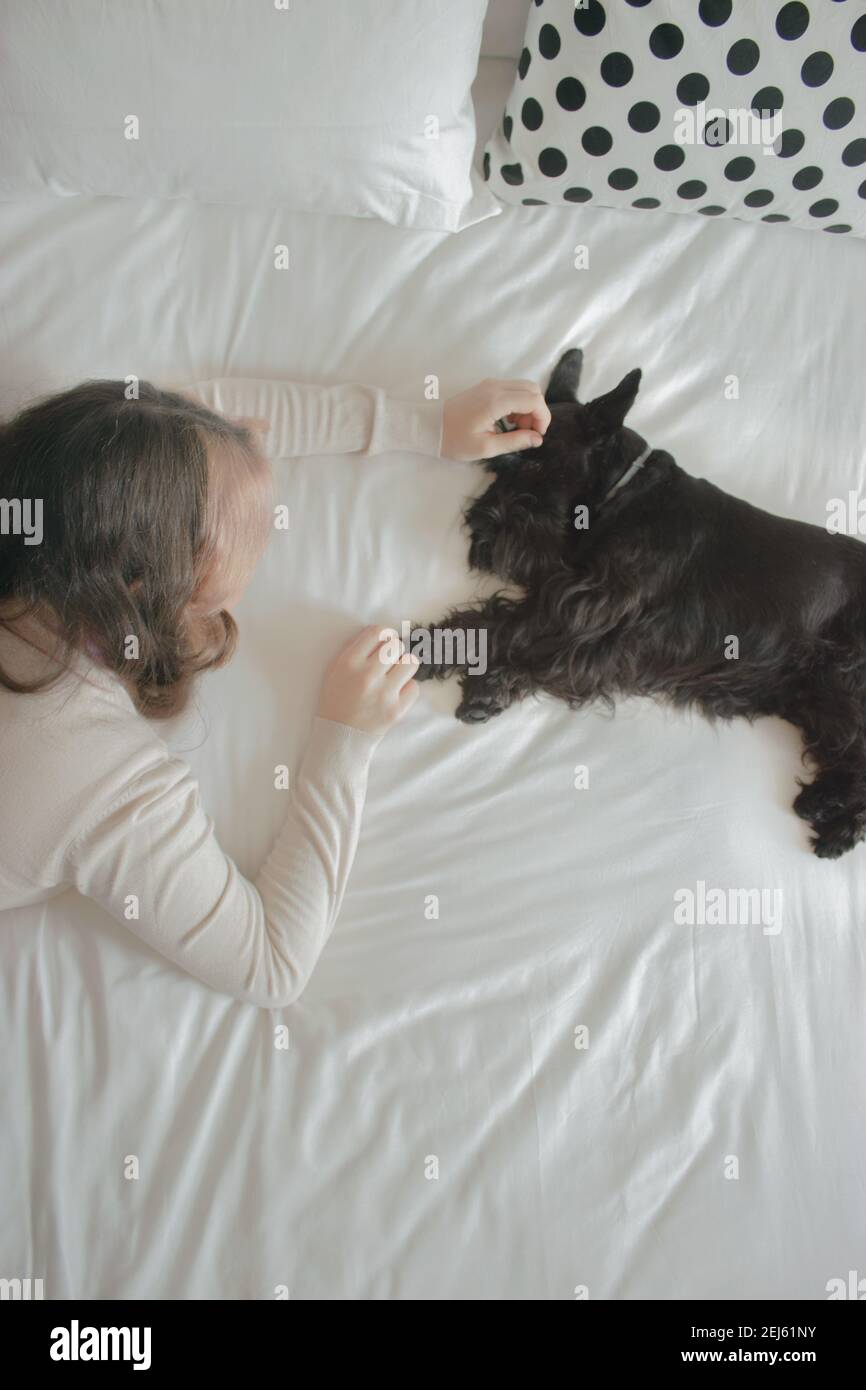 Frau mit hund im bett -Fotos und -Bildmaterial in hoher Auflösung – Alamy