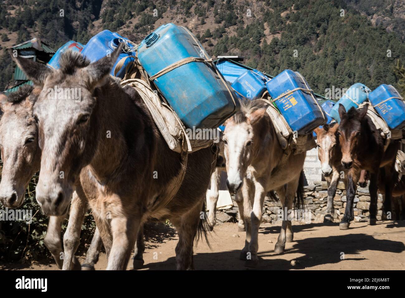 Kathmandu, Nepal, ist das Tor zu Himalaya, Everest und unendlichen ...