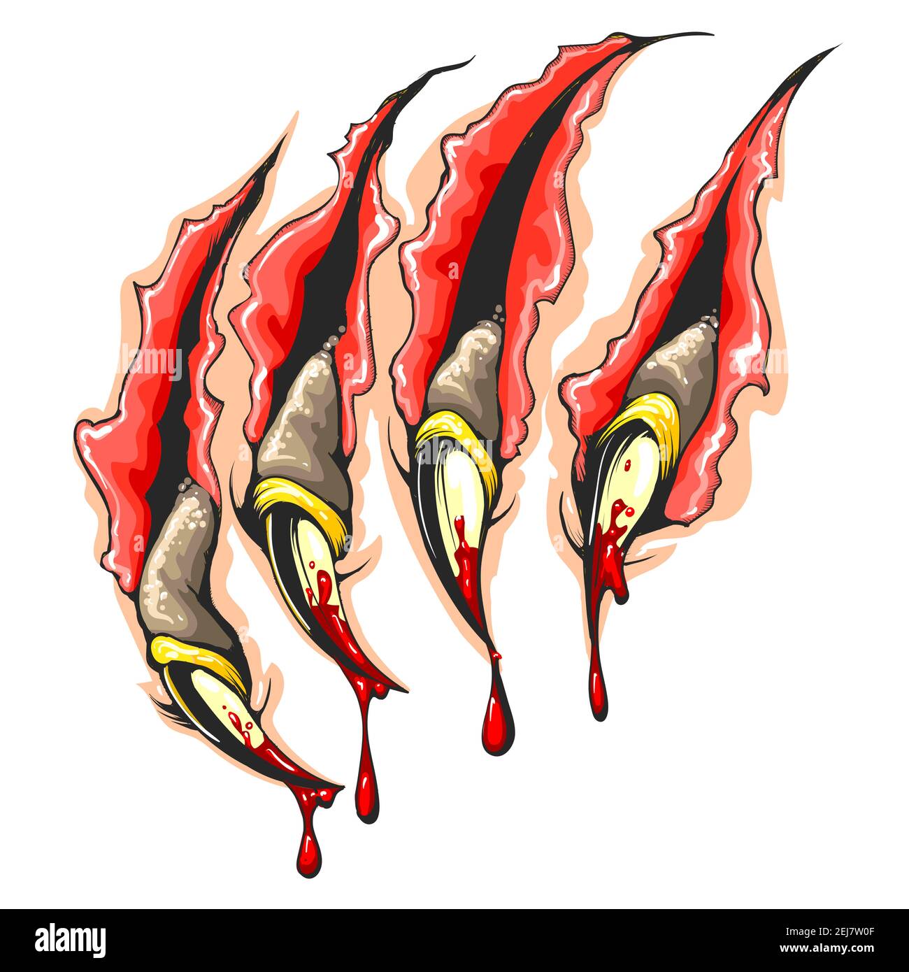 Krallen kratzer vektor vektoren -Fotos und -Bildmaterial in hoher ...