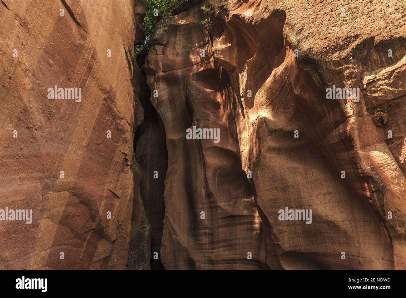 Chinai oeganquan yucha grand canyon -Fotos und -Bildmaterial in hoher ...
