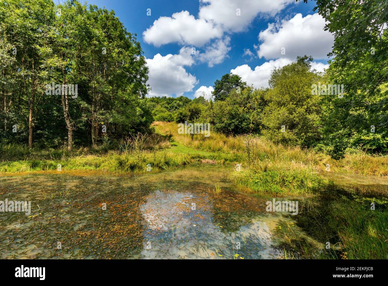 Venn bauernhof -Fotos und -Bildmaterial in hoher Auflösung – Alamy