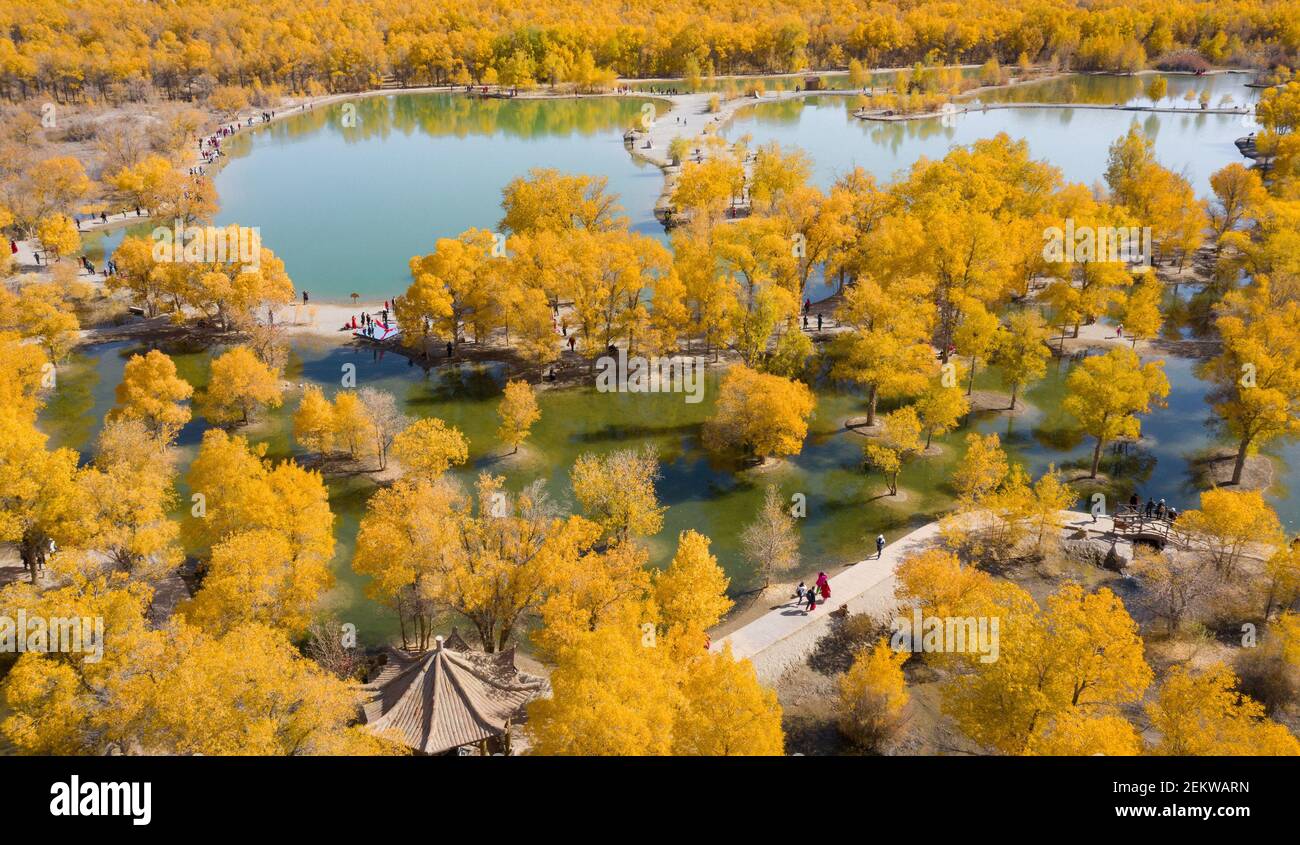 GansuÃ¯Â¼Å’CHINA-15. Oktober 2020, Jiuquan, Provinz Gansu, der goldene ...