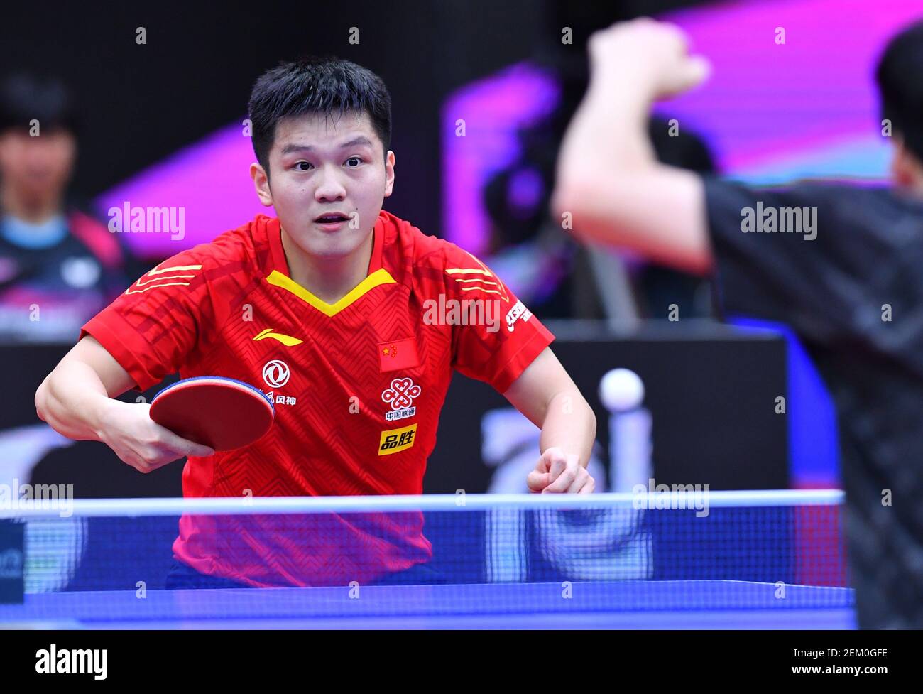 Der chinesische Tischtennisspieler Fan Zhendong spielt gegen ...