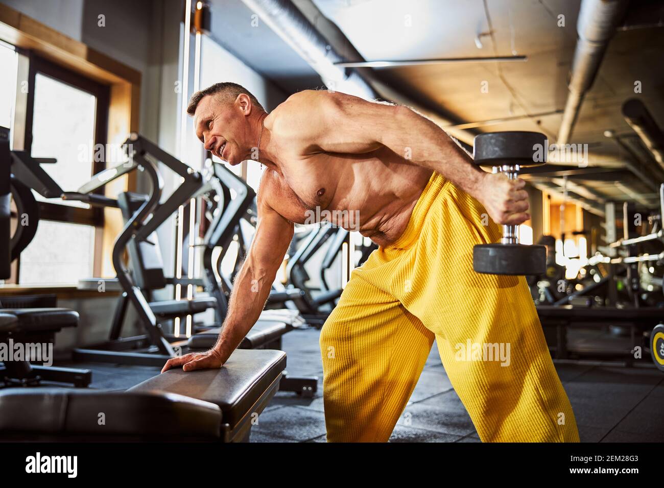 Culturismo bodybuilder -Fotos und -Bildmaterial in hoher Auflösung – Alamy