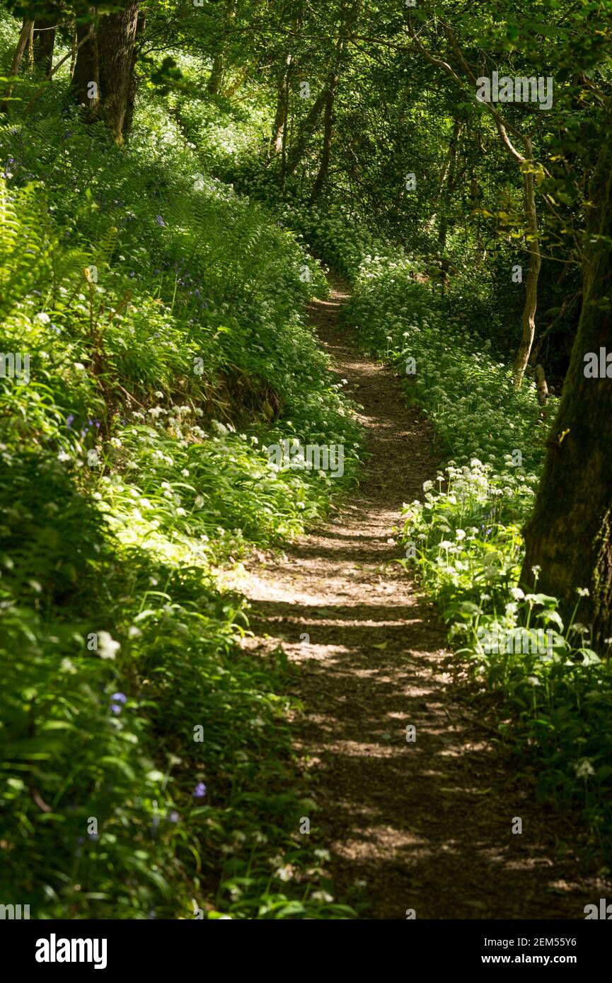 Christow devon -Fotos und -Bildmaterial in hoher Auflösung – Alamy