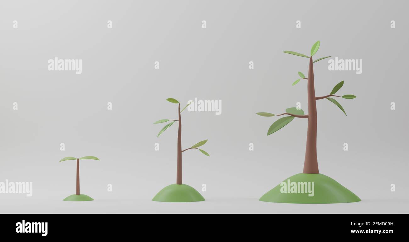 Plant stem diagram -Fotos und -Bildmaterial in hoher Auflösung – Alamy