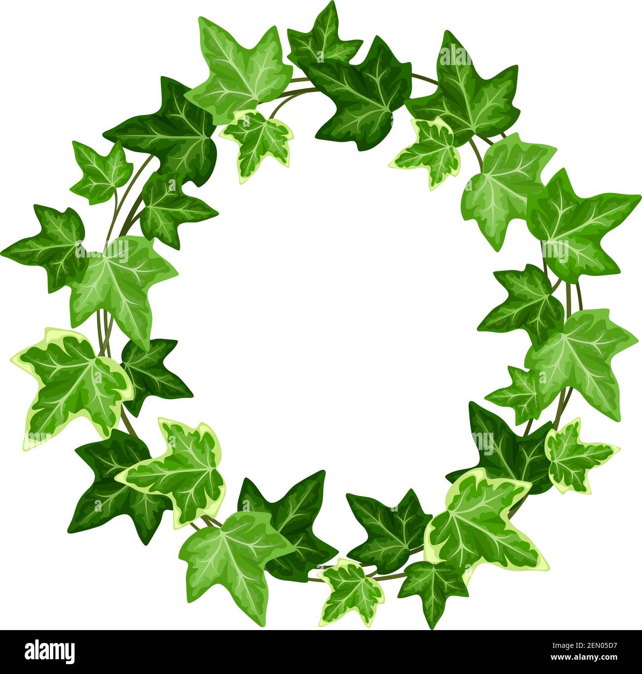 Vector Kranz mit grünen Efeu (hedera Helix) Blätter Stock-Vektorgrafik ...