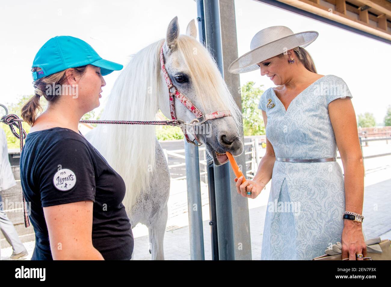 Queen Maxima eröffnet Reitschule No Limits. Die kleine Reitschule gibt ...