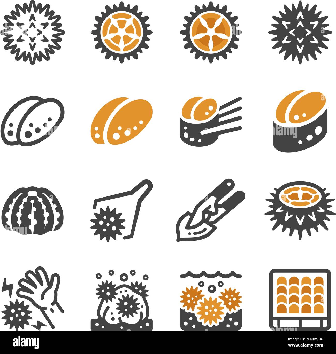Seeigel Icon Set, Vektor und Illustration Stock-Vektorgrafik - Alamy