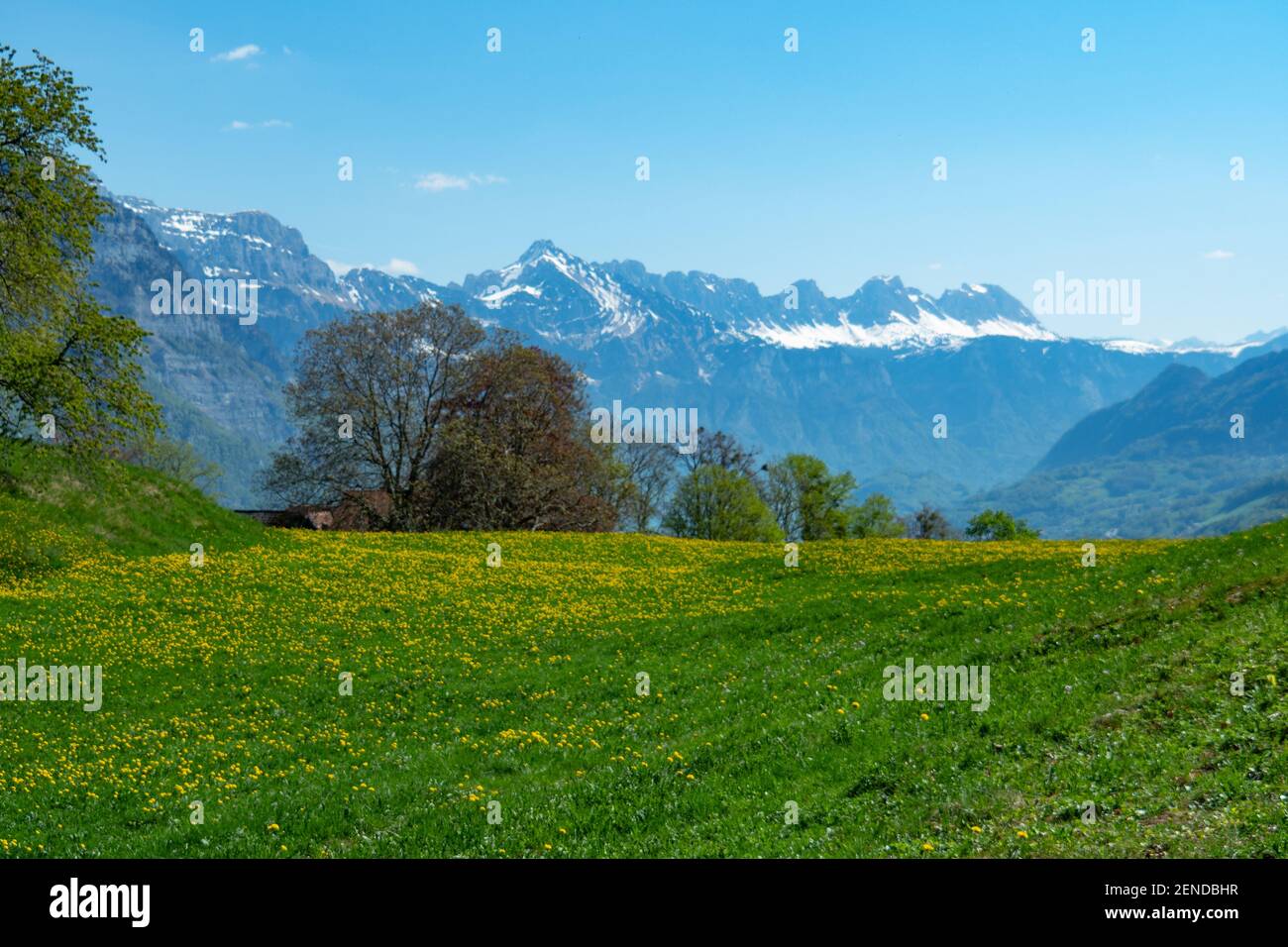 Blick über eine schöne Wiese auf Walensee, einen See in der Schweiz ...