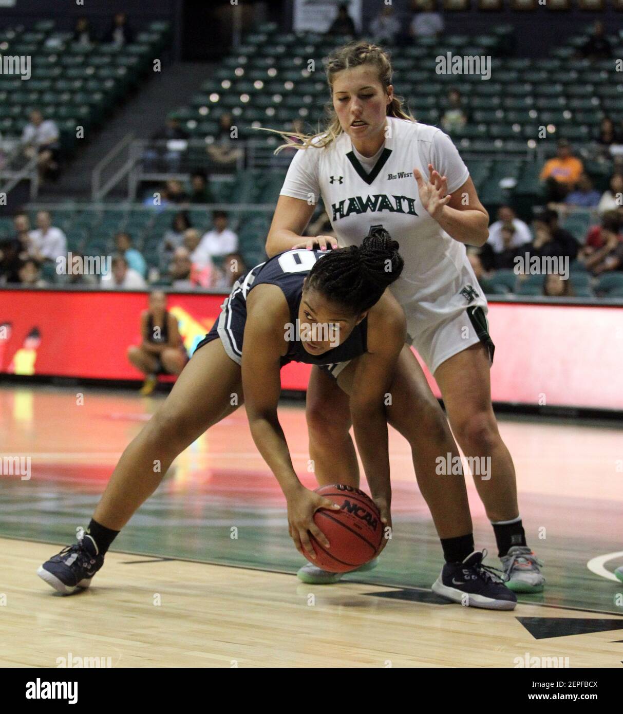 15. Dezember 2019 - Hope International Royals Forward Calla Anderson ...