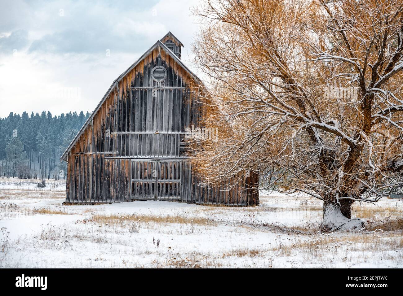 Baum mit scheune -Fotos und -Bildmaterial in hoher Auflösung – Alamy