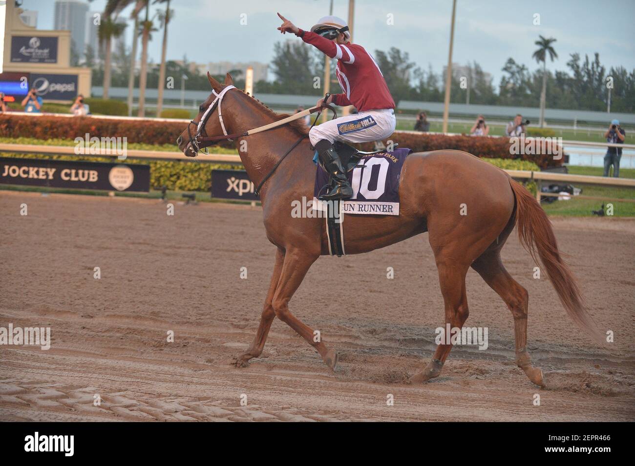 HALLANDALE, FL - JANUAR 27: Gun Runner #10 mit Florent Geroux gewinnt ...