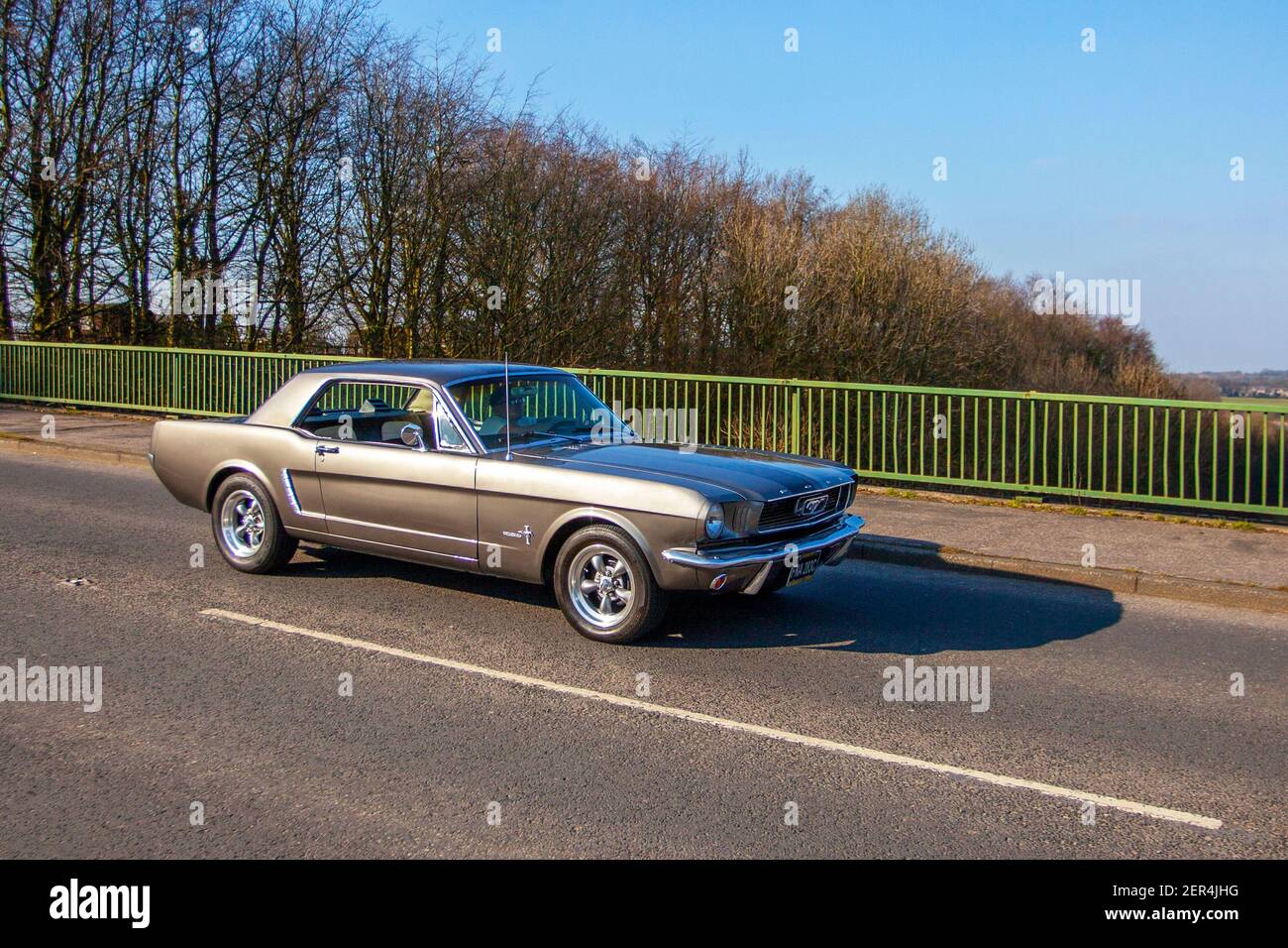 1965 mustang fastback -Fotos und -Bildmaterial in hoher Auflösung – Alamy