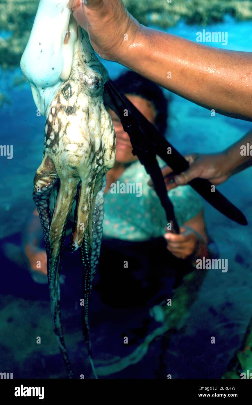 Tonga frauen -Fotos und -Bildmaterial in hoher Auflösung – Alamy