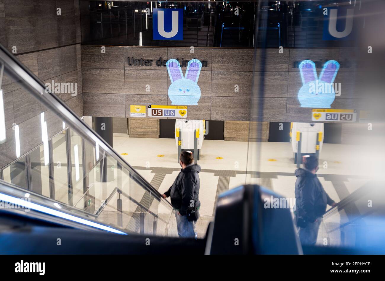 Berlin, Deutschland. Februar 2021, 26th. Ein Hase wird auf den Eingang ... Berlin, Deutschland. Februar 2021, 26th. Ein Hase wird auf den Eingang ...