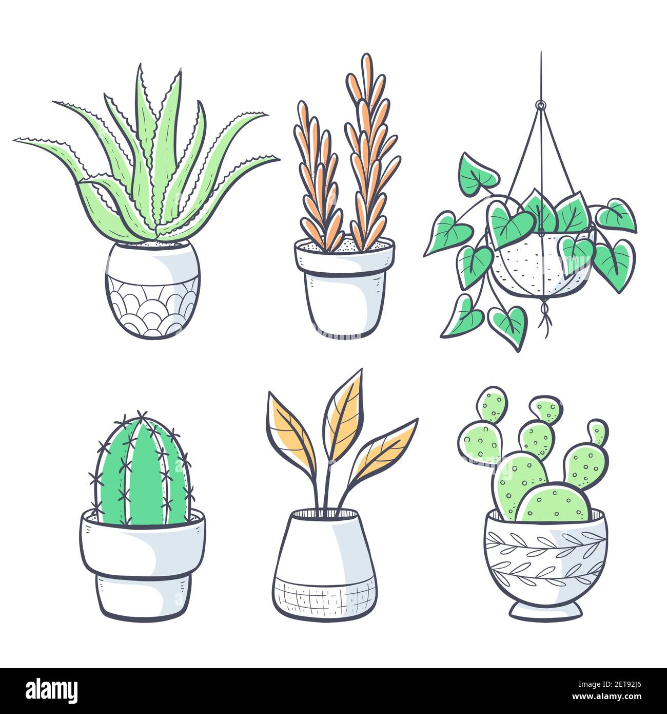 Hand gezeichnete abbildung pflanzen -Fotos und -Bildmaterial in hoher ...