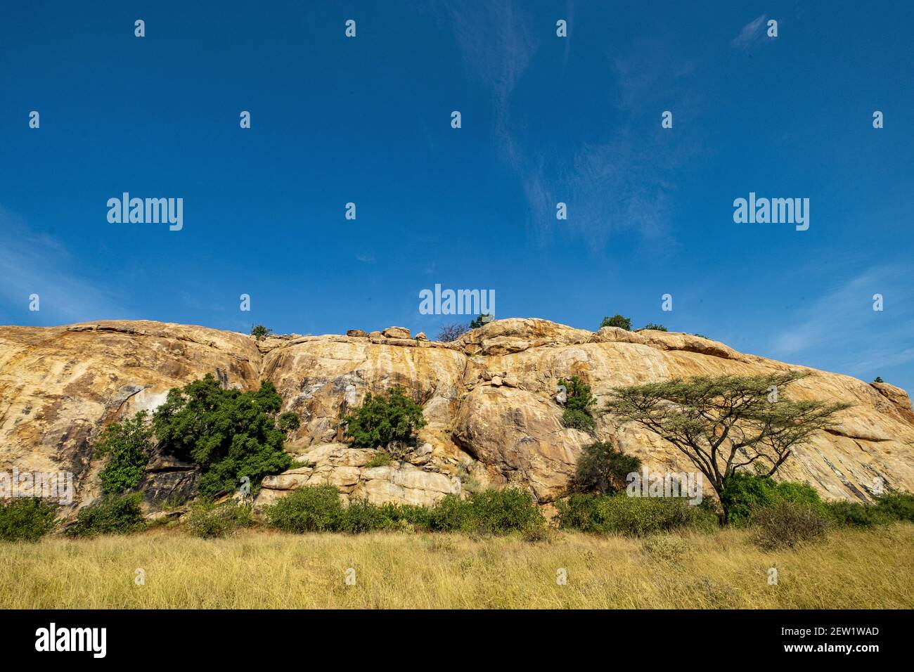 Shaba nationalpark -Fotos und -Bildmaterial in hoher Auflösung – Alamy