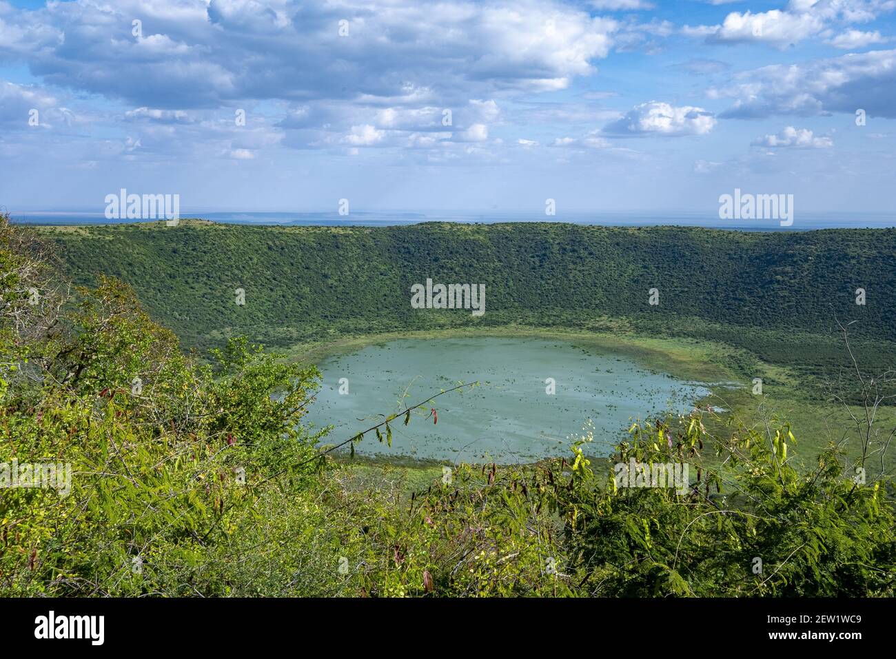 Marsabit national reserve -Fotos und -Bildmaterial in hoher Auflösung ...
