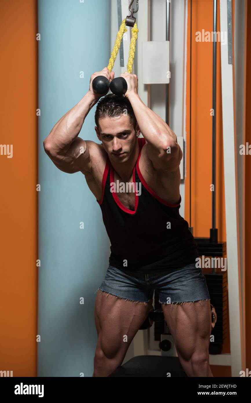 Menschlicher trizeps -Fotos und -Bildmaterial in hoher Auflösung – Alamy