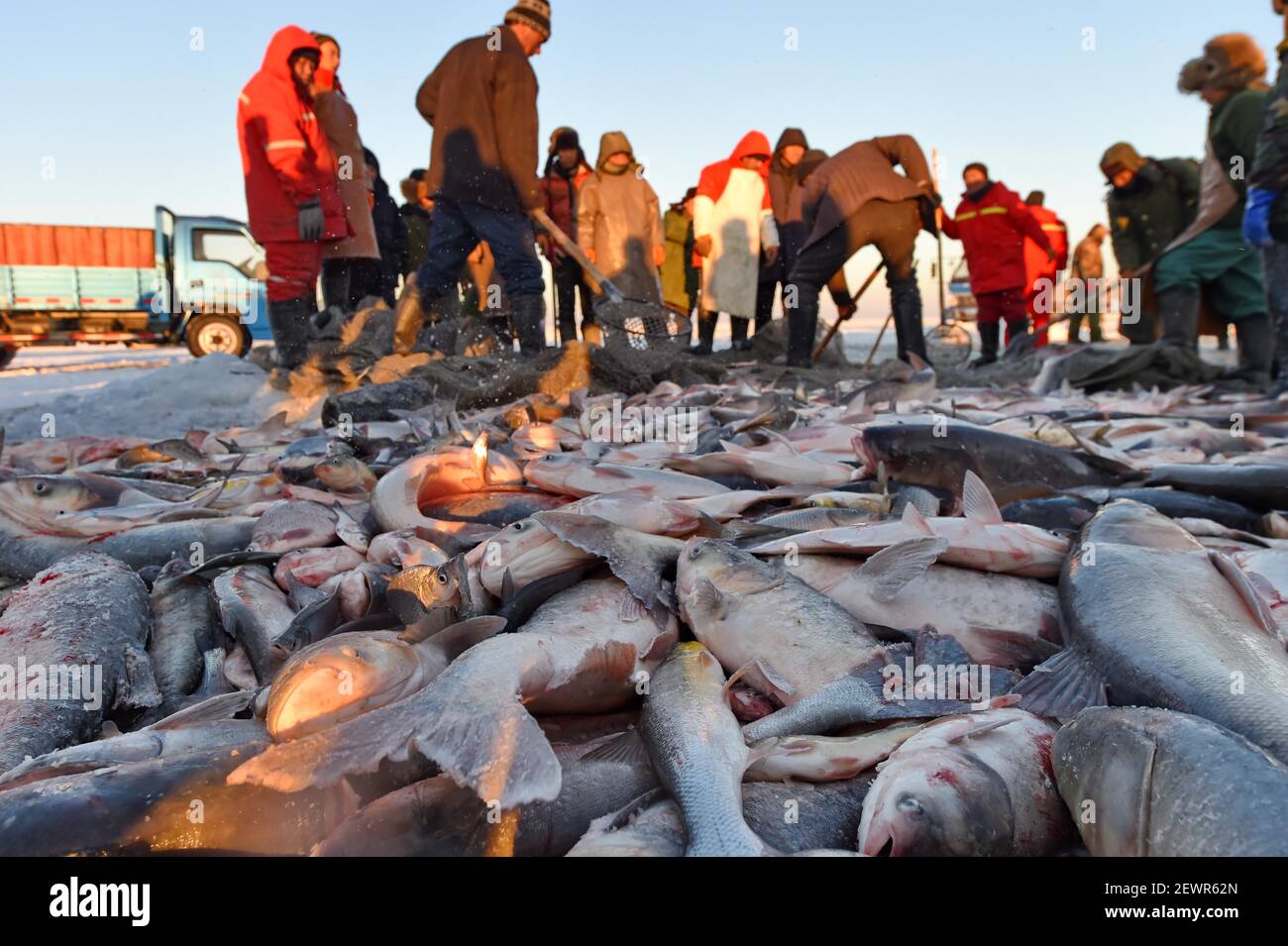 (161229) -- SONGYUAN, 29. Dezember 2016 (Xinhua) -- das Foto vom 28 ...