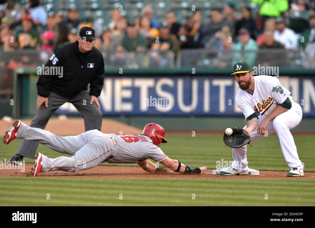 Die Los Angeles Angels' Kole Calhoun, links, taucht zurück zum ersten ...