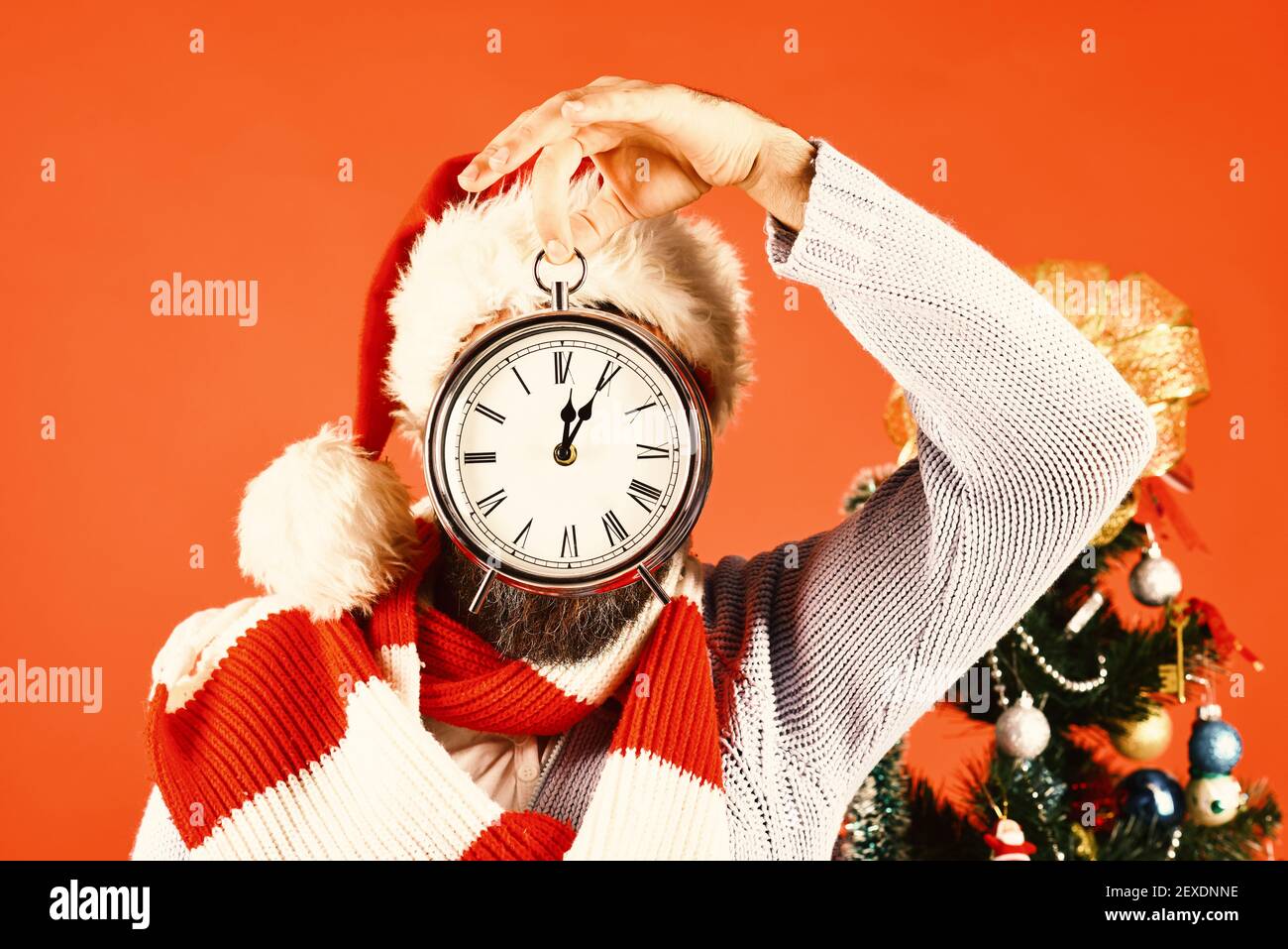 Versteckt sich hinter dem baum -Fotos und -Bildmaterial in hoher ...