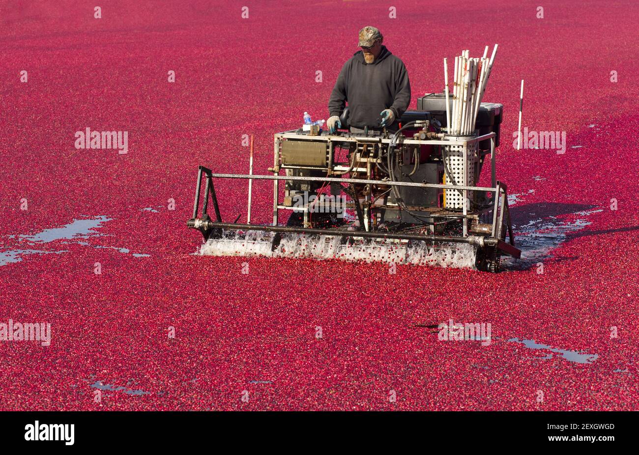 Fruit harvesting machine -Fotos und -Bildmaterial in hoher Auflösung ...