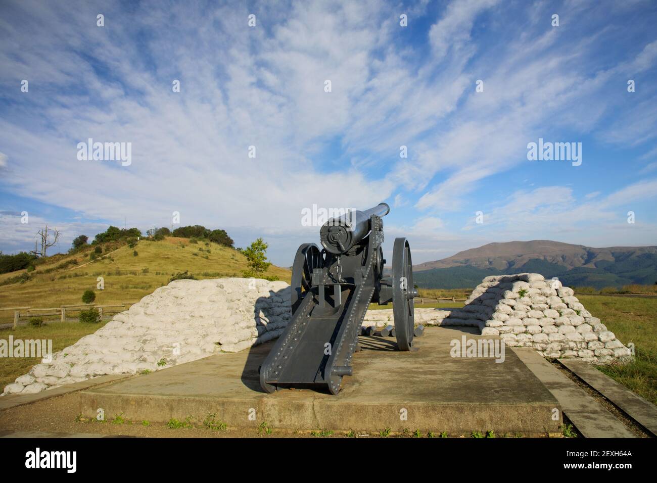 Long barrel gun -Fotos und -Bildmaterial in hoher Auflösung – Alamy