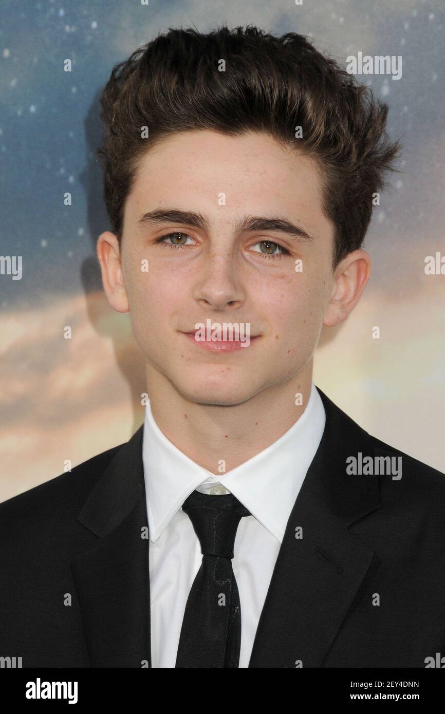 Timothée chalamet interstellar -Fotos und -Bildmaterial in hoher ...