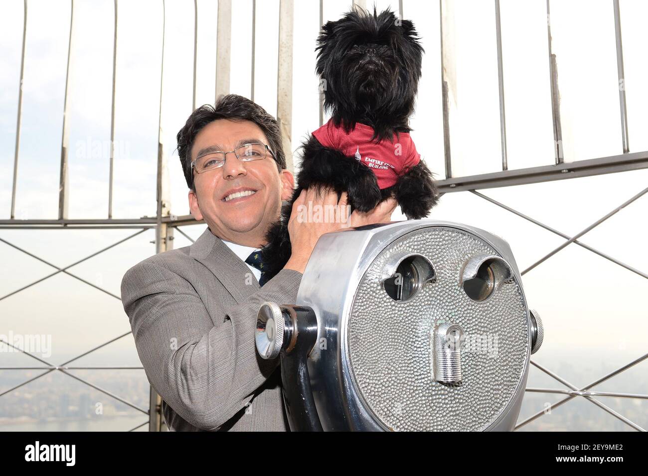 13. FEBRUAR 2013 - New York - Banana Joe, ein Affenpinscher und 2013 ...