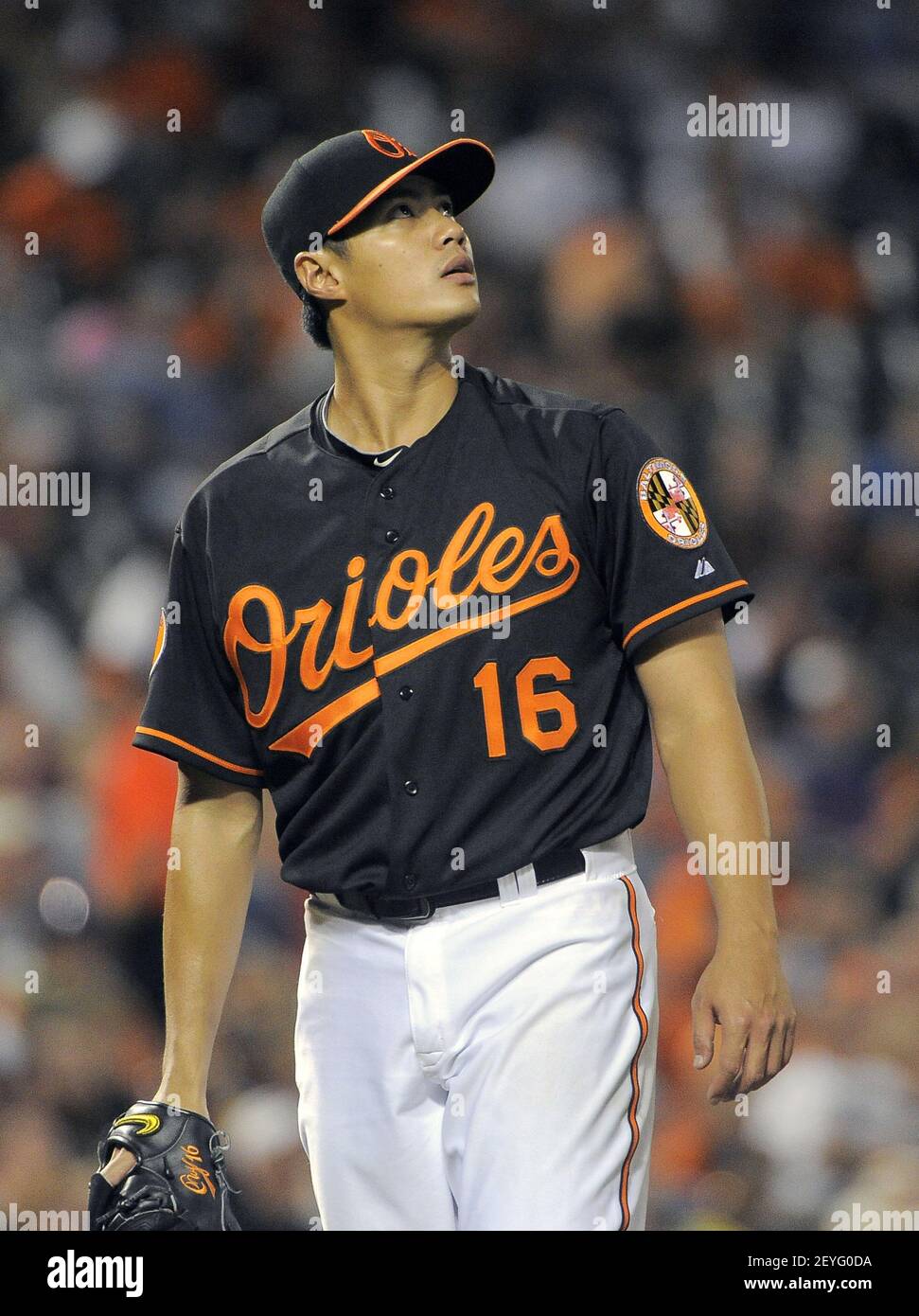 Baltimore Orioles Starterkrug Wei-Yin Chen (16) beobachtet den Flug ...