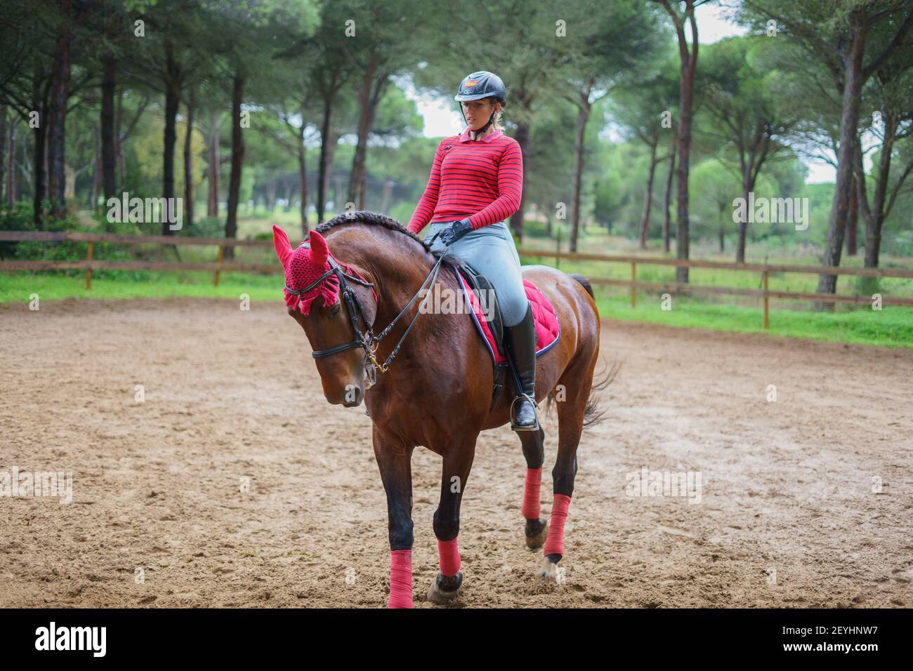 Gras pferd arena -Fotos und -Bildmaterial in hoher Auflösung – Alamy