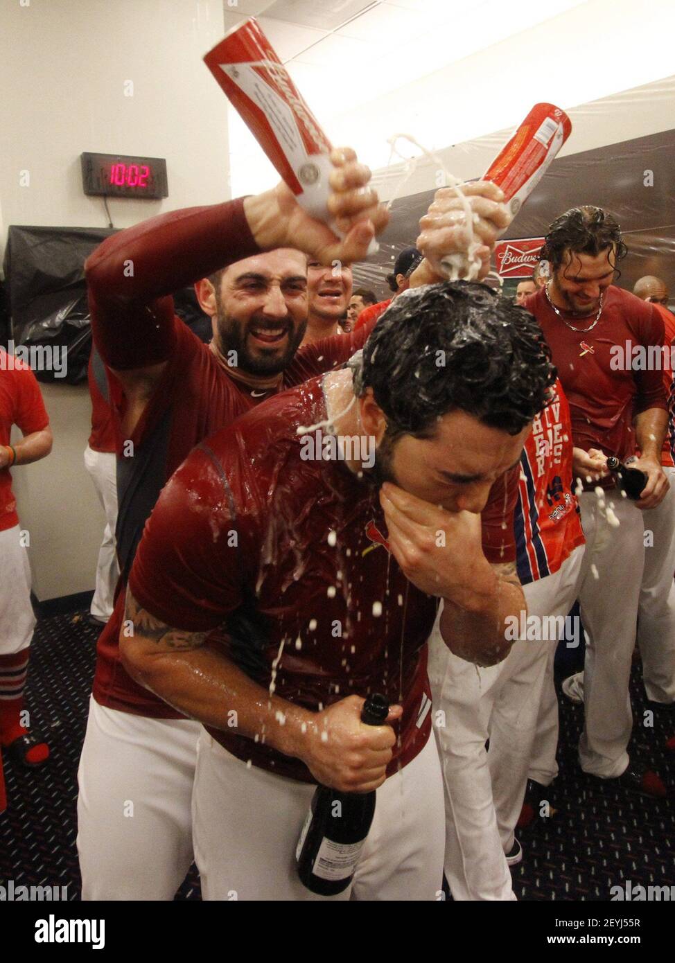 Daniel Descalso der St. Louis Cardinals entfacht Teamkollege Tony Cruz ...