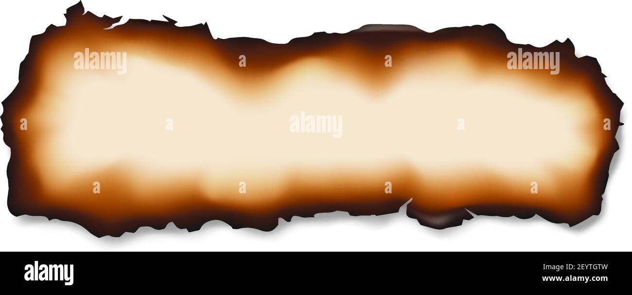 Beschädigtes Stück Papier isoliert verbranntes Blatt. Vector ...