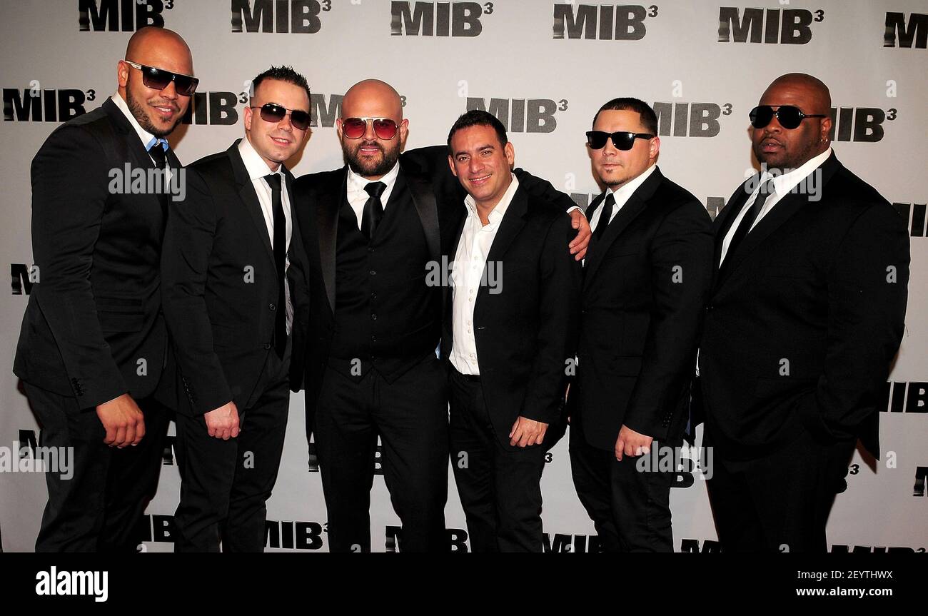 Pitbull band -Fotos und -Bildmaterial in hoher Auflösung – Alamy