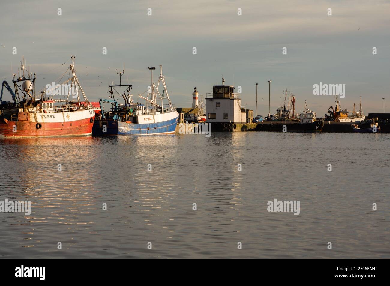 Nordsee-pelagische Trawler im Hafen von Peterhead in der Abendsonne ...