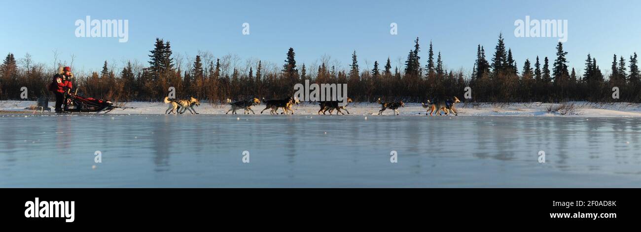 Iditarod Musher Aliy Zirkle, aus Two Rivers, Alaska, musstet am ...